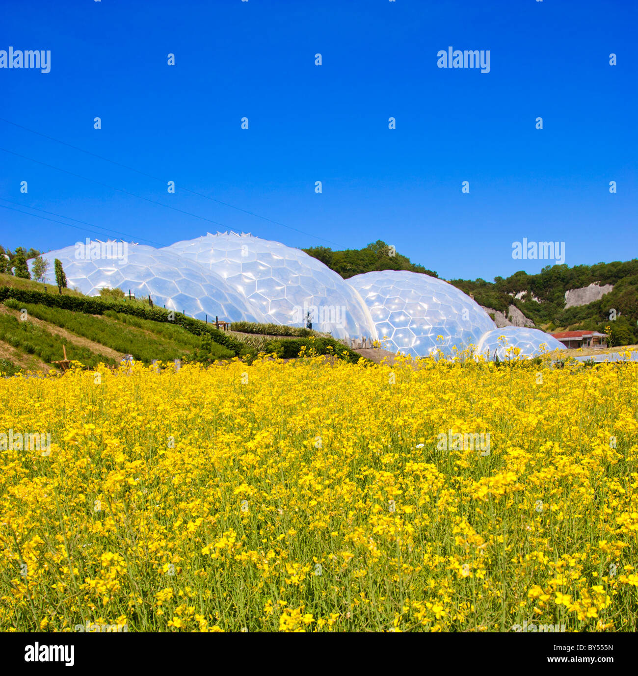 The Rainforest (Humid Tropics) Biome at the Eden Project Stock Photo ...
