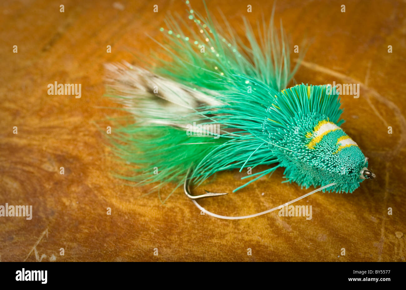 Dahlberg diver hi-res stock photography and images - Alamy