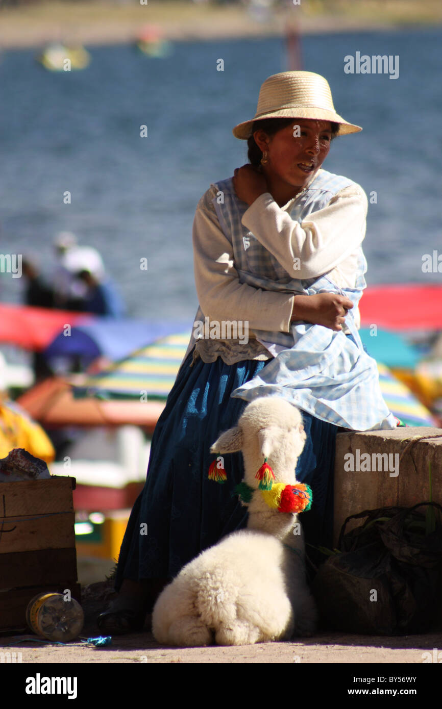 Alpaca bolivia hi-res stock photography and images - Alamy