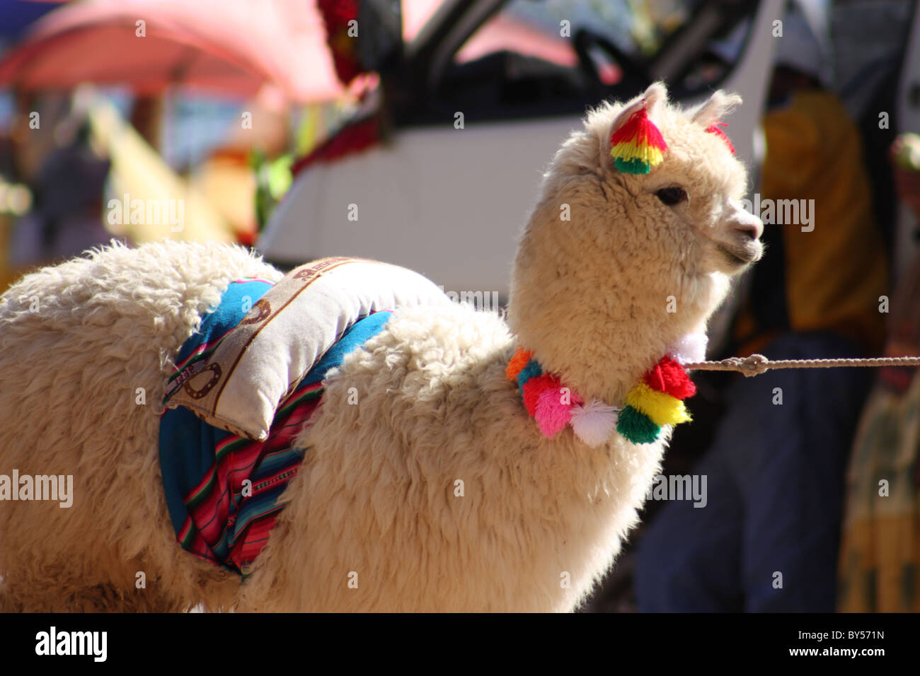 Decorated bolivia hi-res stock photography and images - Alamy