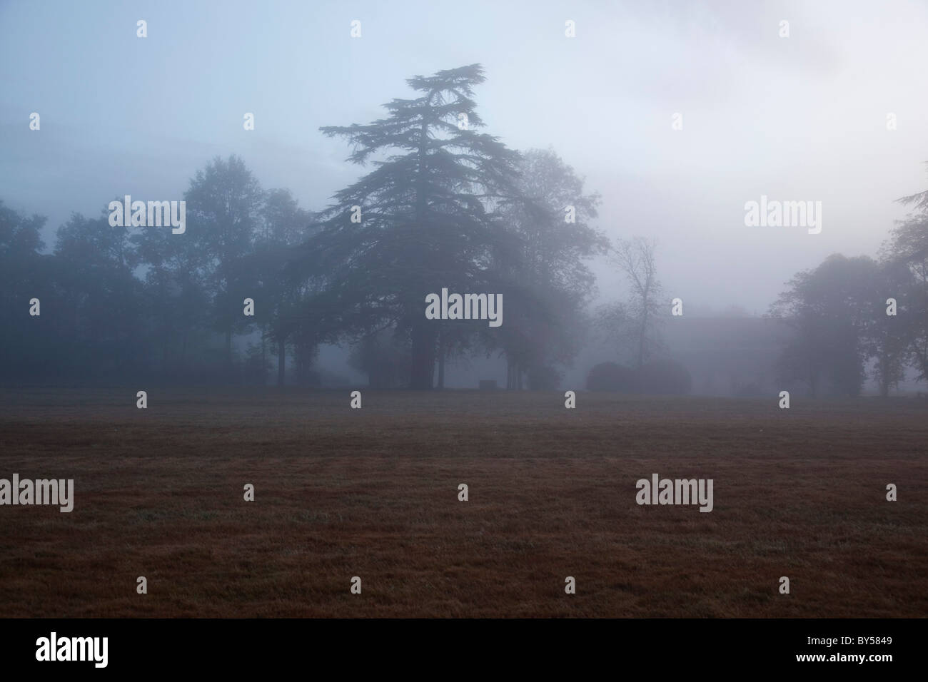 View of a foggy field Stock Photo - Alamy