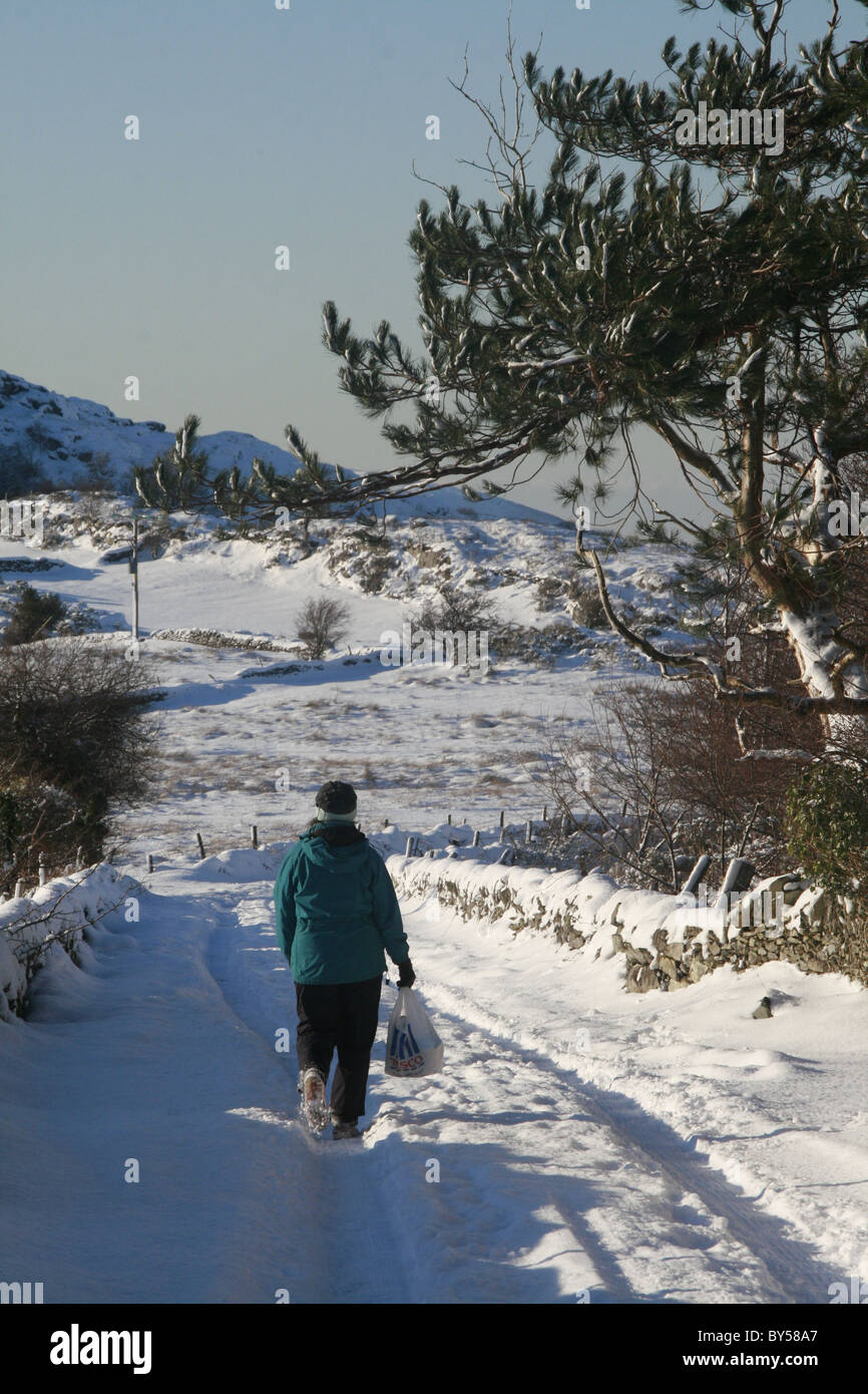 heavy snow in deiniolen north wales, great britain uk Stock Photo - Alamy