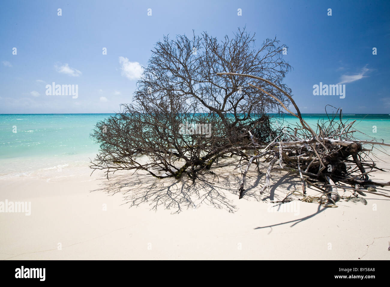 Anegada Island High Resolution Stock Photography and Images - Alamy
