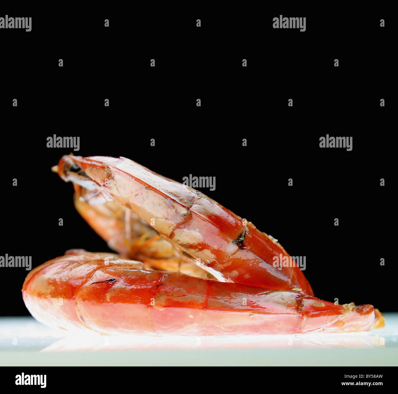 Two prawns, studio shot, close-up Stock Photo - Alamy