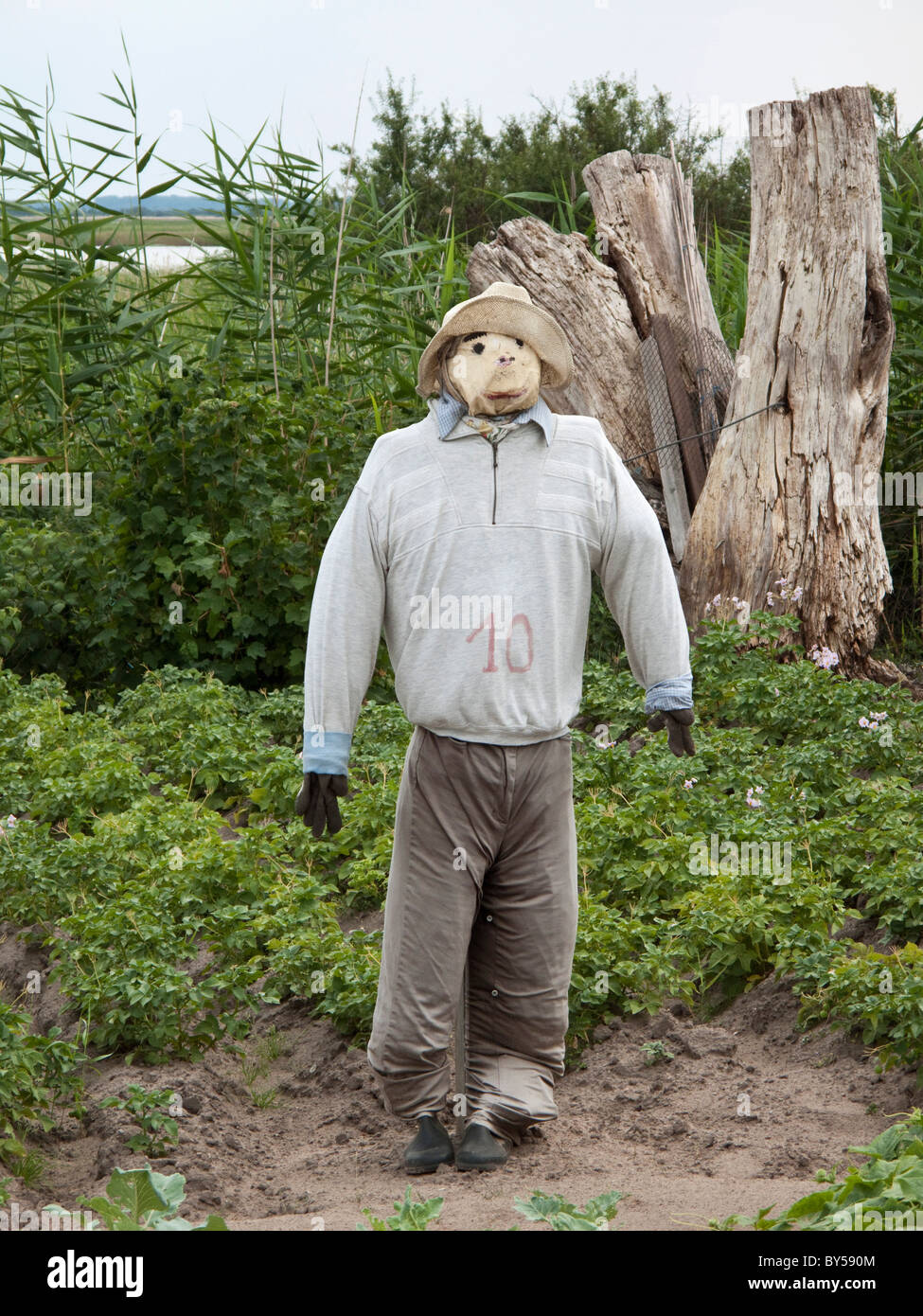 Scarecrow clothing hi-res stock photography and images - Alamy