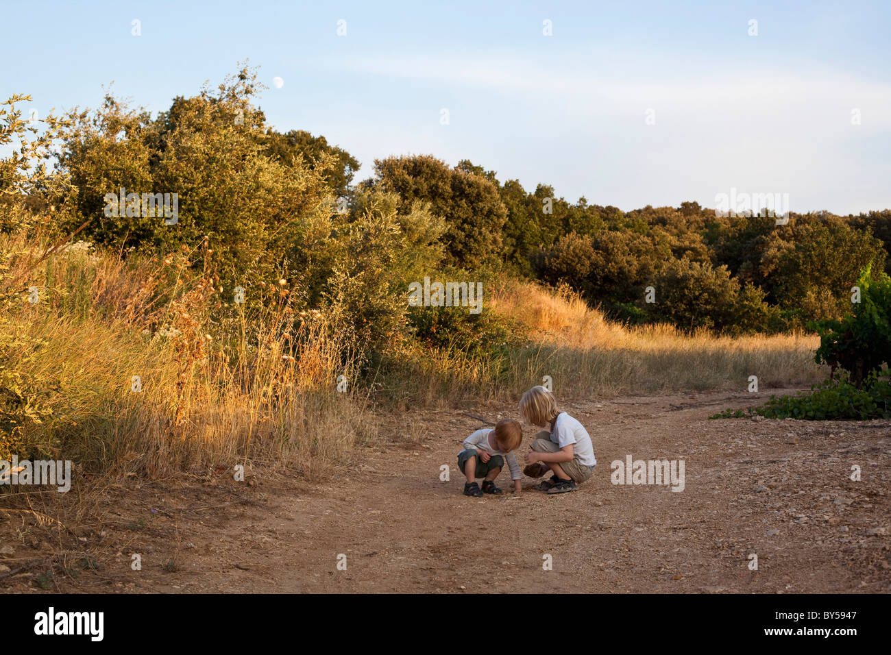 Kids playing under tree hi-res stock photography and images - Alamy