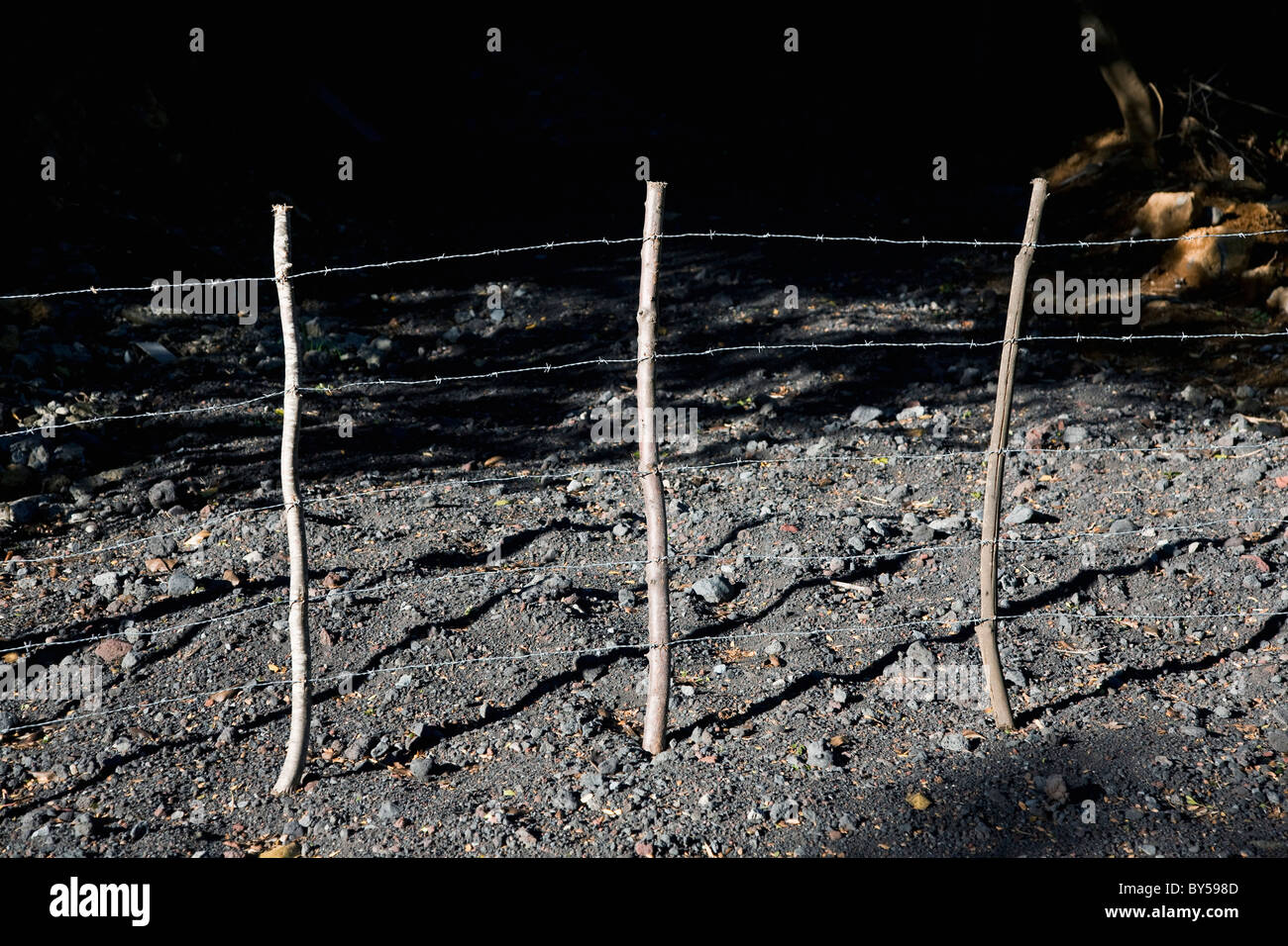 Detail of a barbed wire fence at night Stock Photo - Alamy