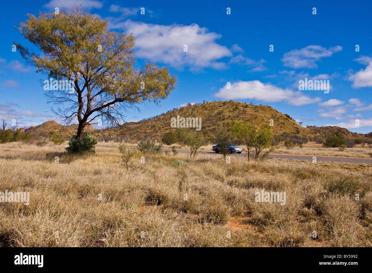 australian landscape in the northerm territory, australia Stock Photo ...
