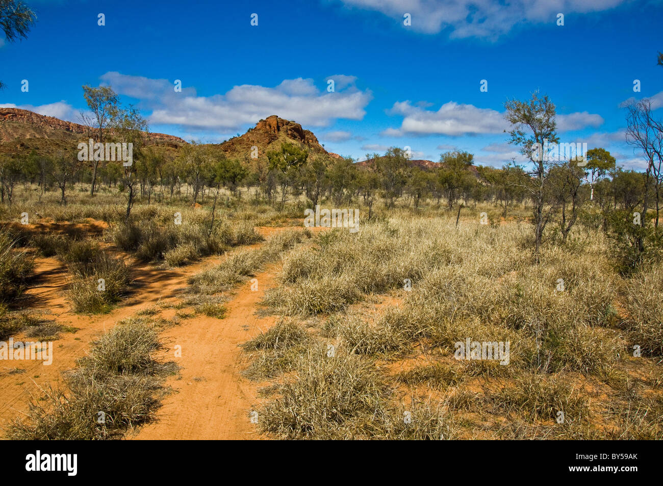bush and road on the outback, northern territory australia Stock Photo ...