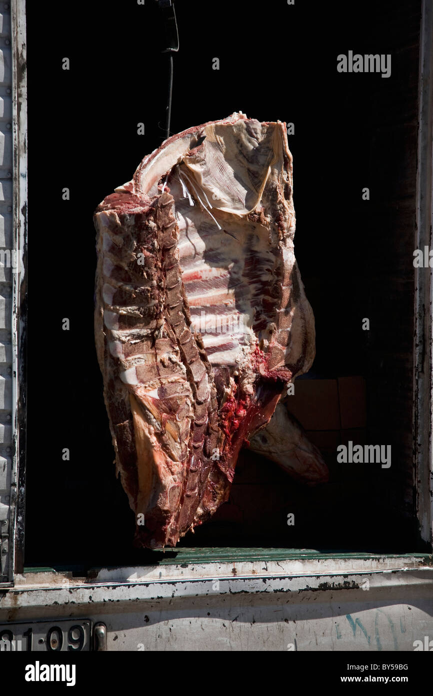 A large cut of raw beef hanging in a truck Stock Photo - Alamy