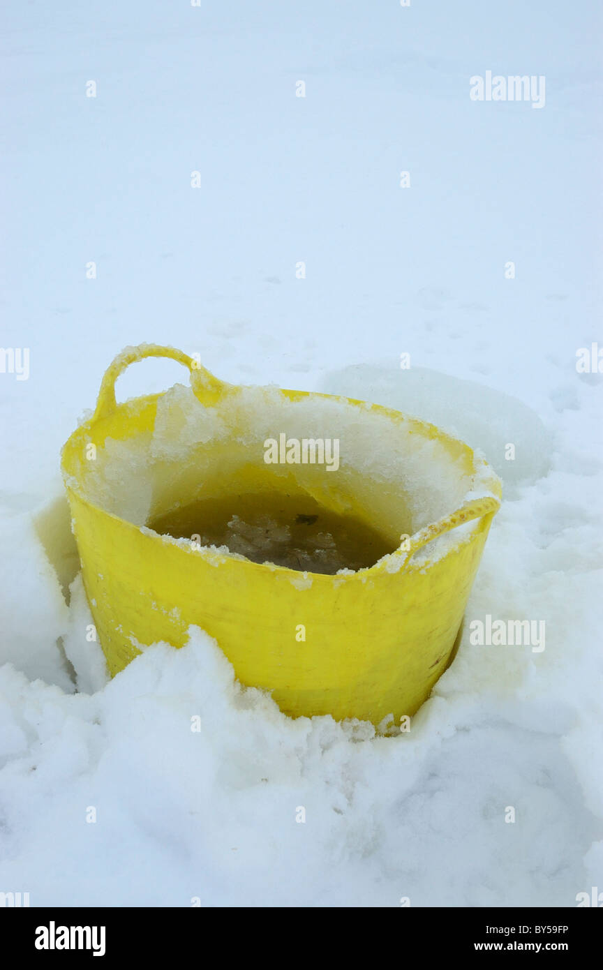 Frozen water bucket Stock Photo - Alamy