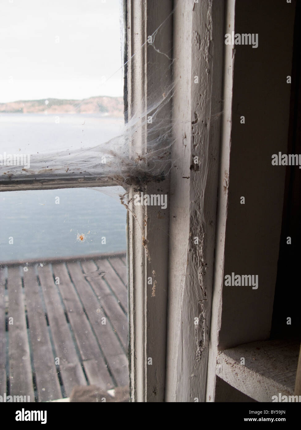 Cobwebs on a window frame Stock Photo - Alamy