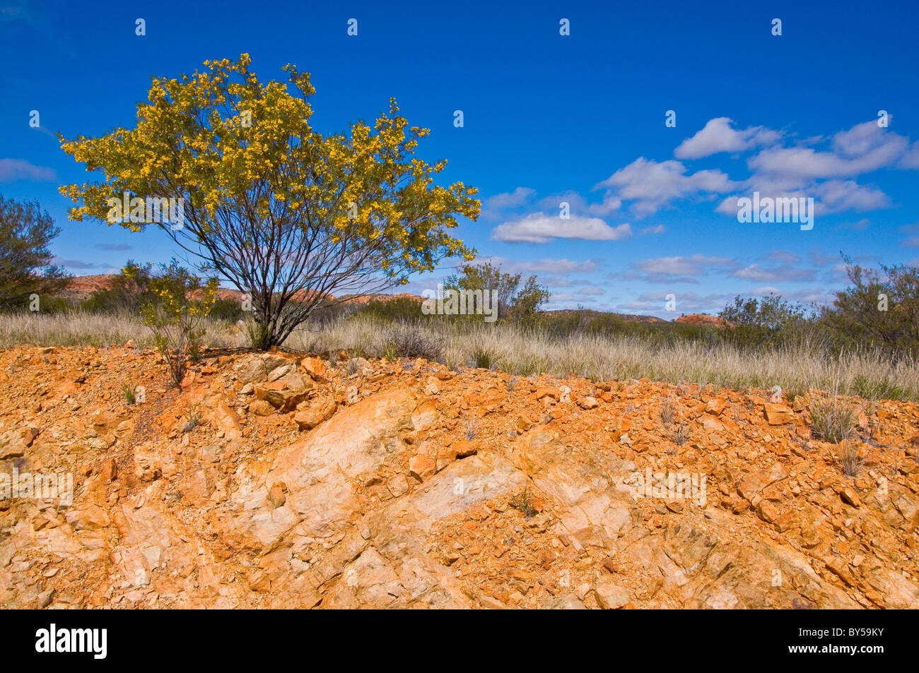 bush and road on the outback, northern territory australia Stock Photo ...