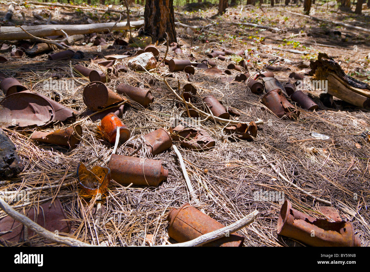 Forest garbage dump hi-res stock photography and images - Alamy