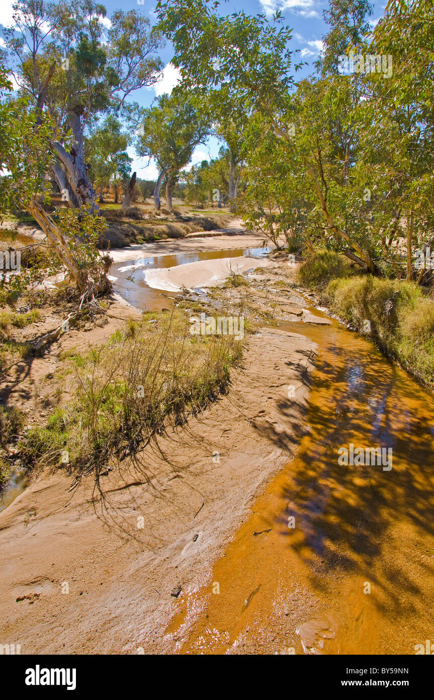 bush and road on the outback, northern territory australia Stock Photo ...