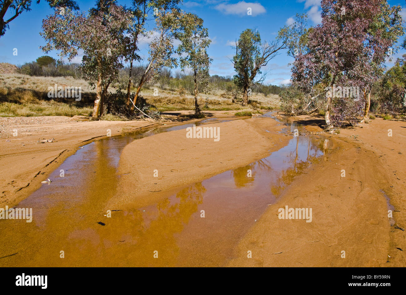 bush and road on the outback, northern territory australia Stock Photo ...