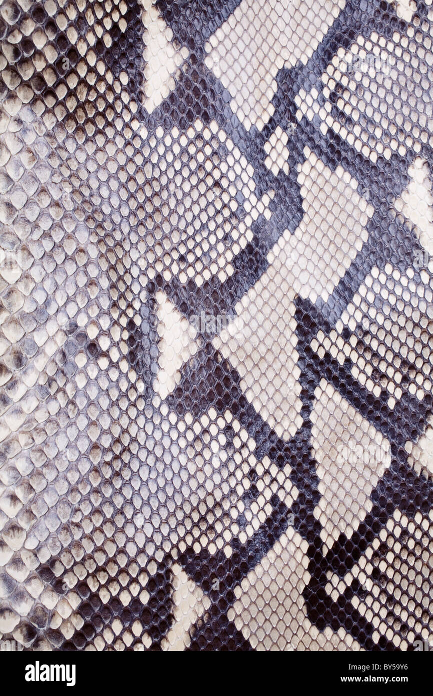 Snakeskin up close Stock Photo - Alamy
