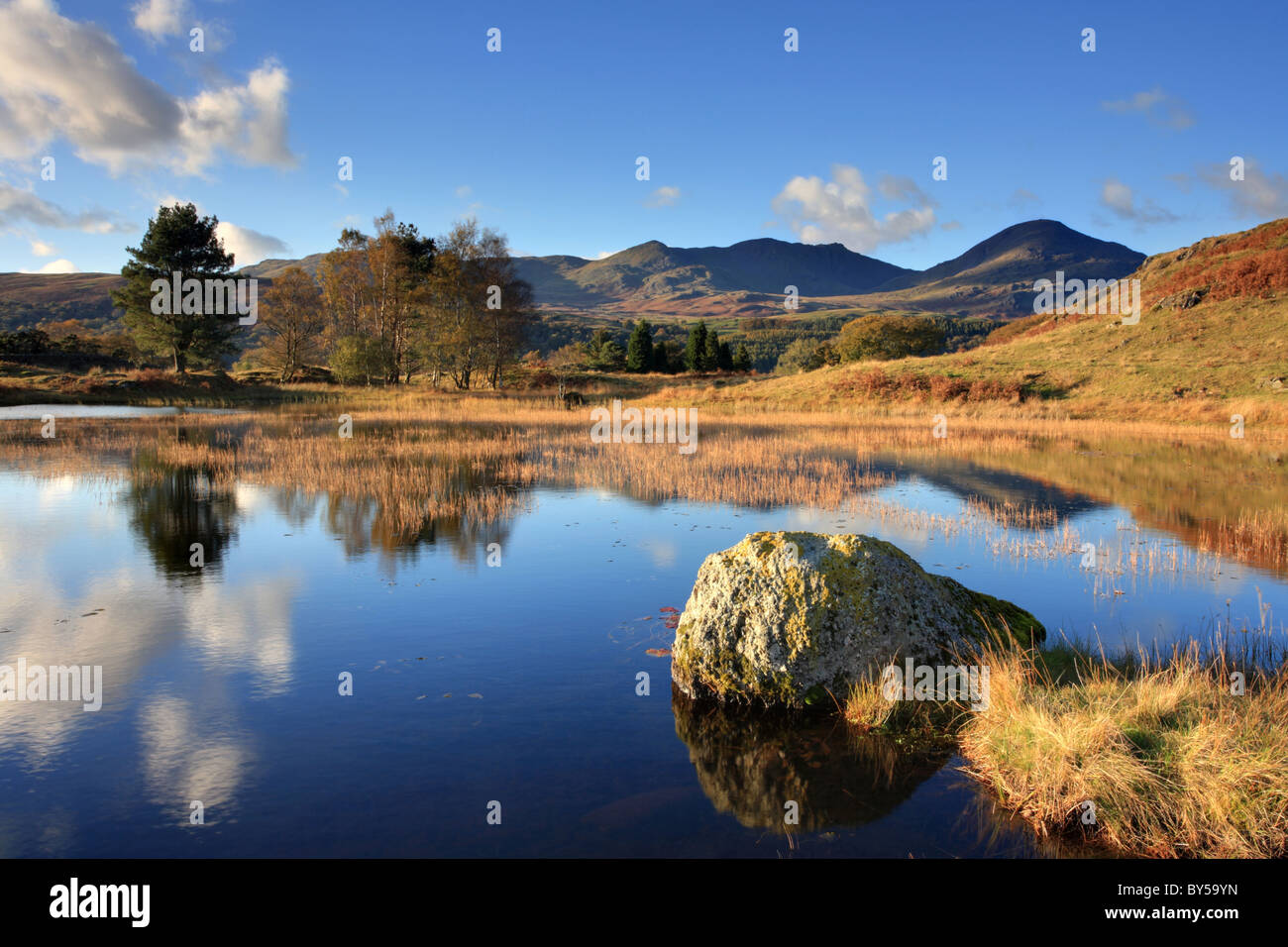 Kelly hall hi-res stock photography and images - Alamy