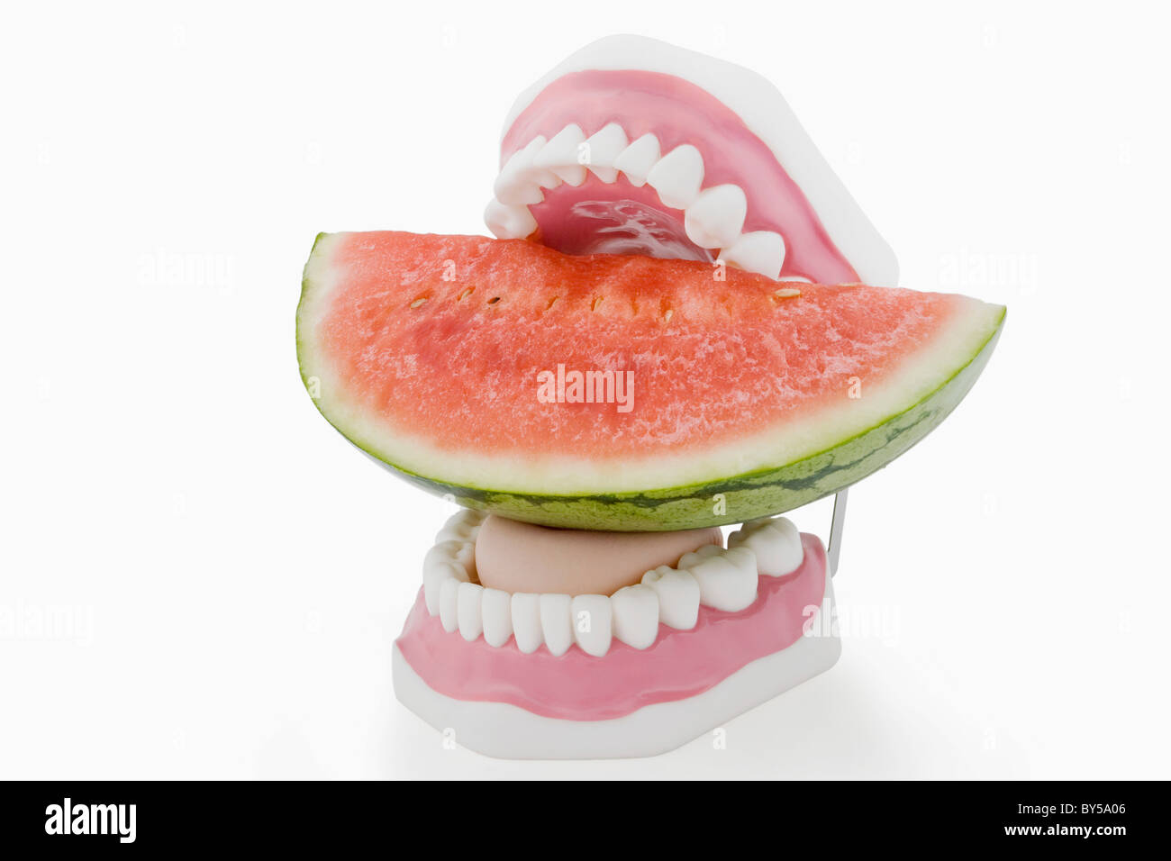 Teeth biting a watermelon Stock Photo - Alamy