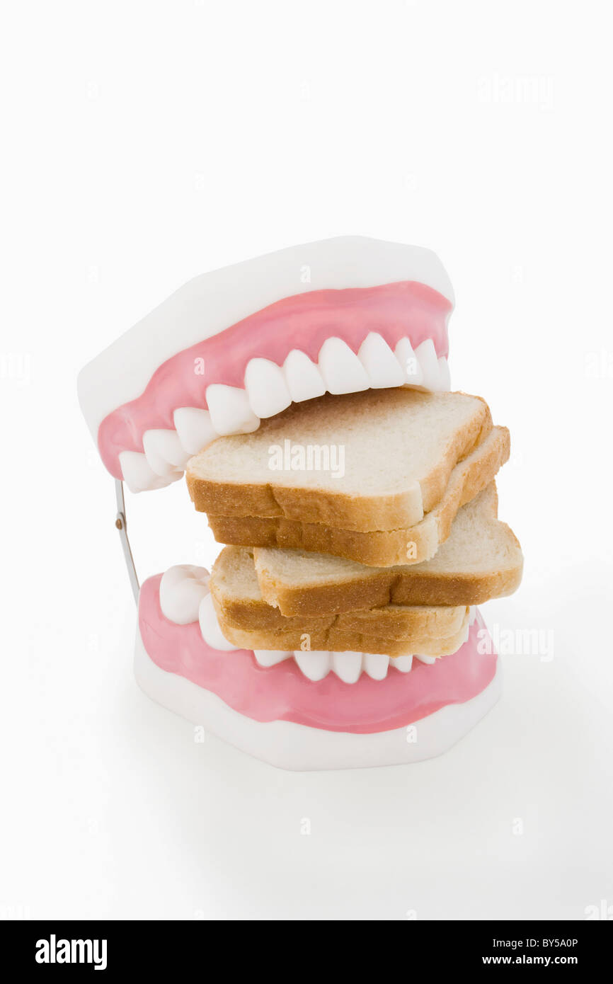 Model teeth biting bread Stock Photo - Alamy