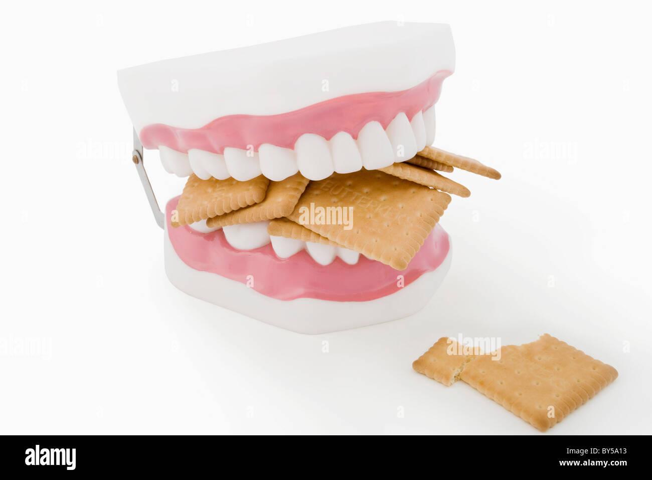 Model teeth biting cookies Stock Photo - Alamy