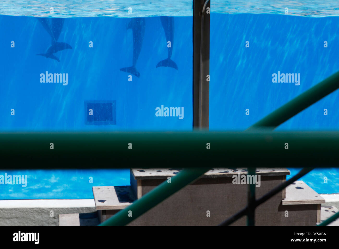 Dolphin enclosure hi-res stock photography and images - Alamy
