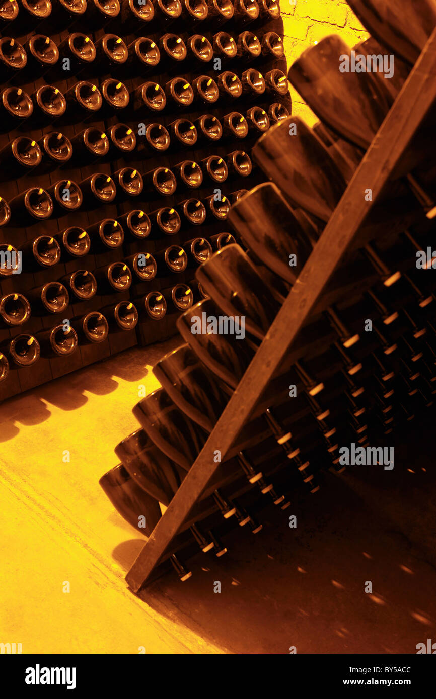 Detail of bottles of champagne in racks at a winery Stock Photo - Alamy