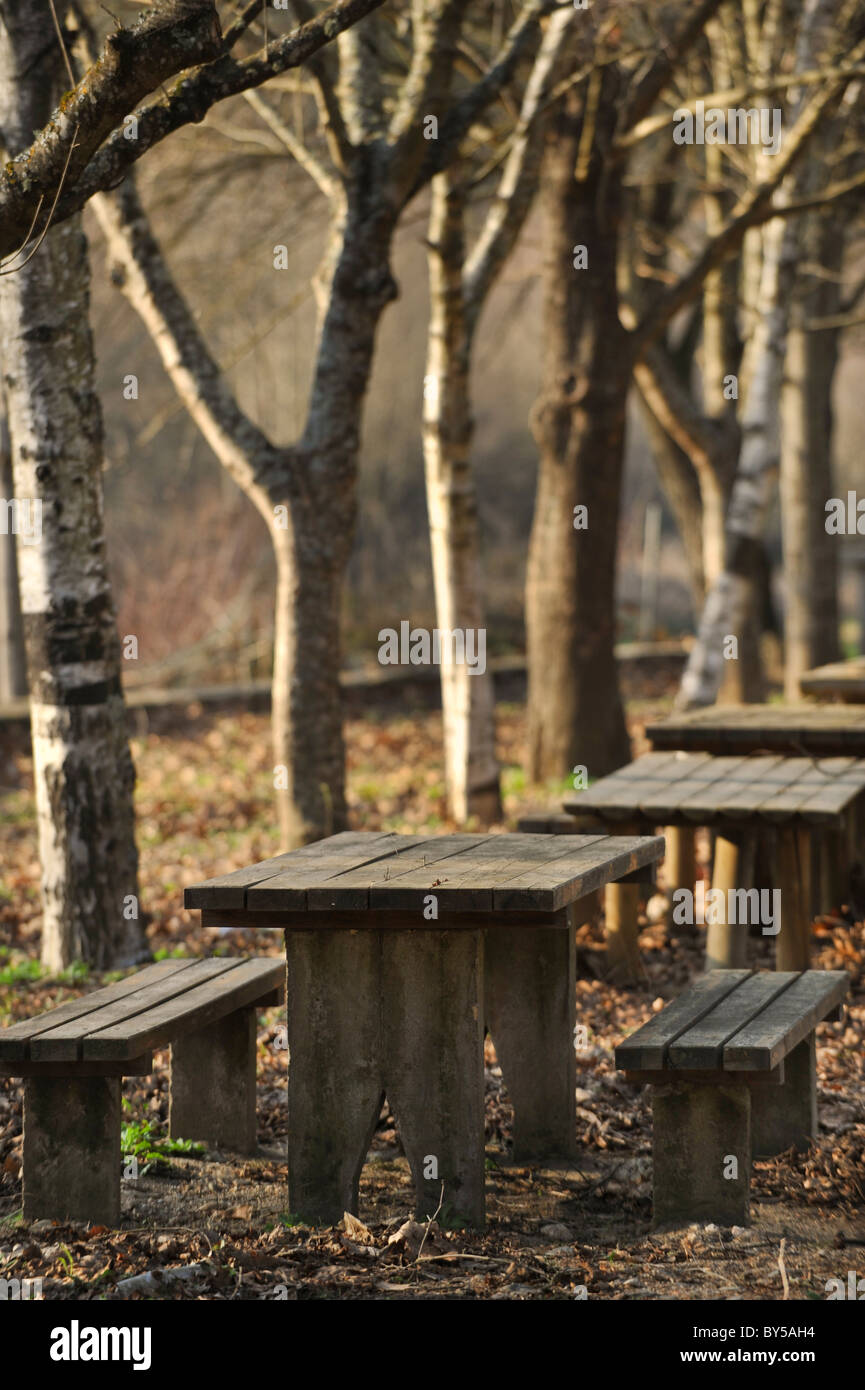 Empty picnic tables in the Winter Stock Photo - Alamy