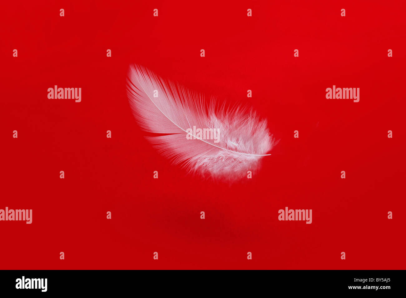 A floating feather Stock Photo - Alamy