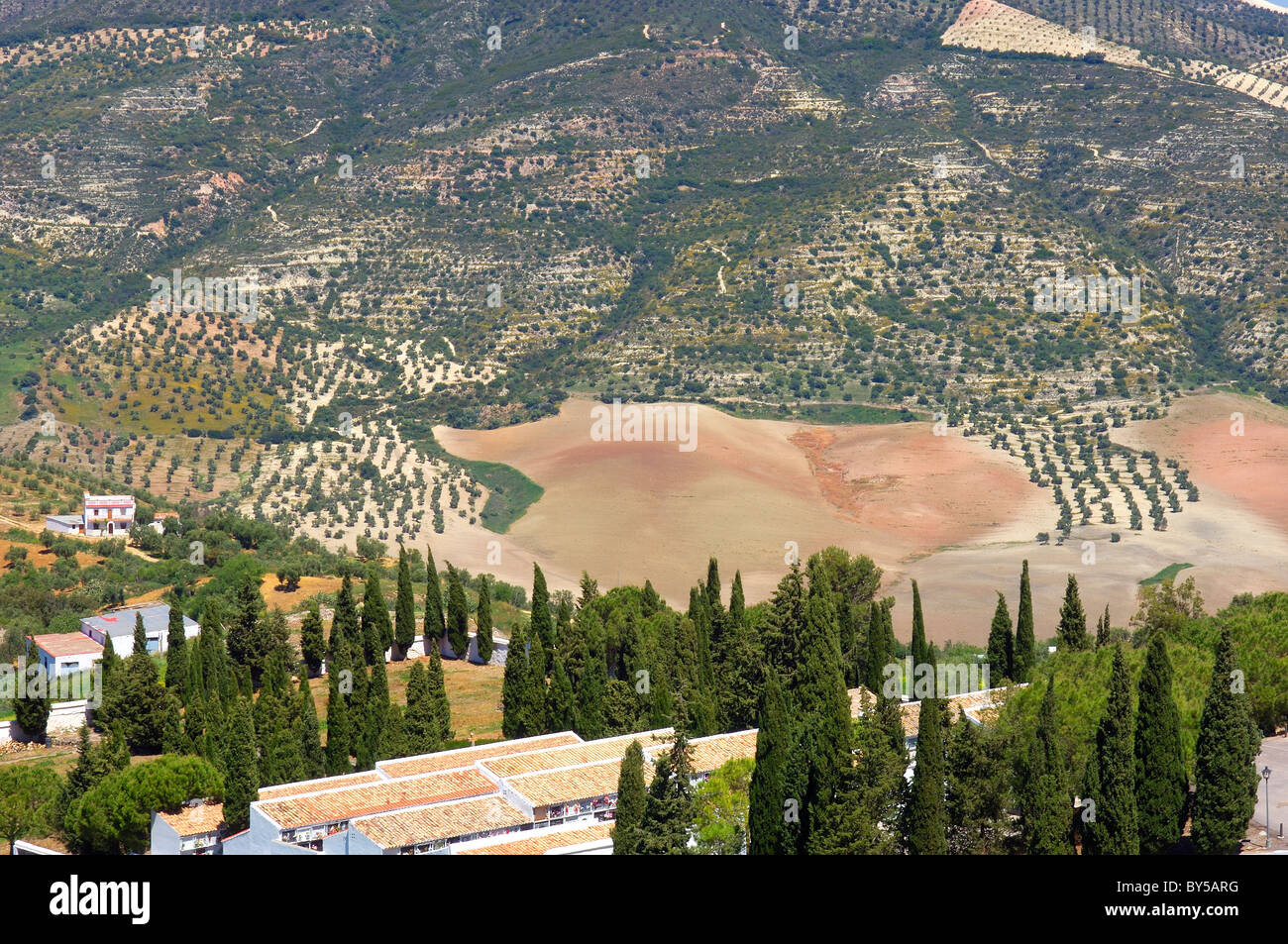 Olive trees. Landscape near Olvera. Olvera, Pueblos Blancos (´white ...