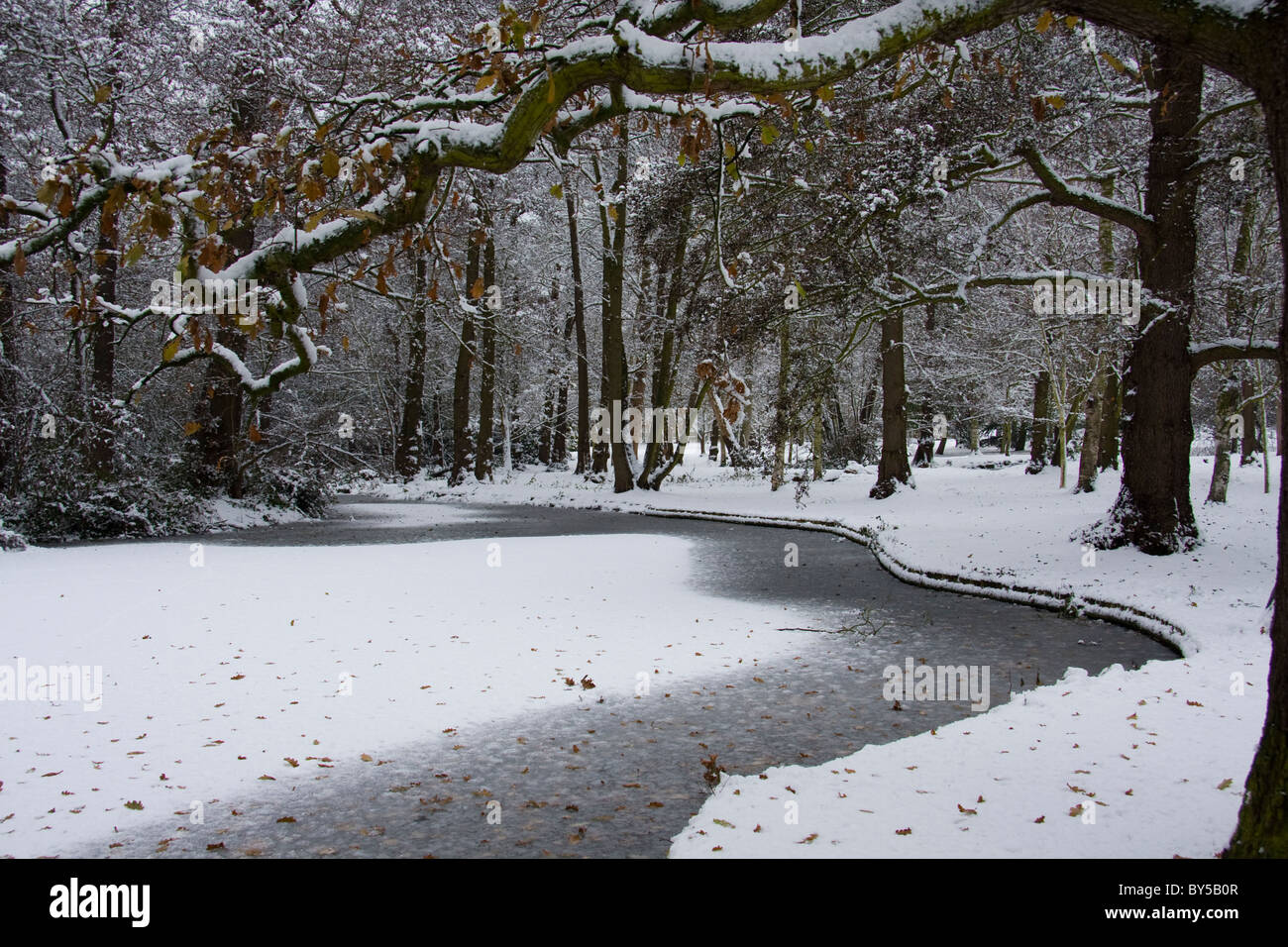 The Longford River Bushy Park, Richmond Upon Thames London England ...
