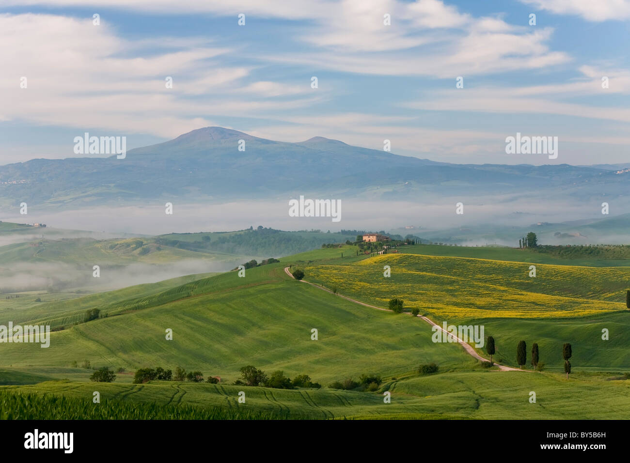 Track, San Quirico d'orcia, Val d'orcia, Tuscany, Italy Stock Photo - Alamy