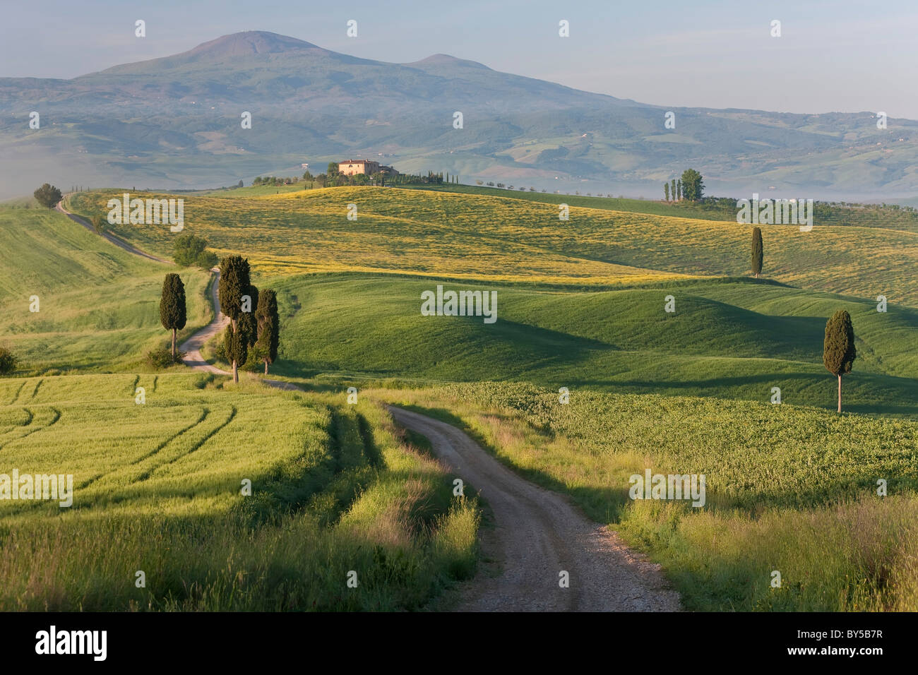 Track, San Quirico d'orcia, Val d'orcia, Tuscany, Italy Stock Photo - Alamy