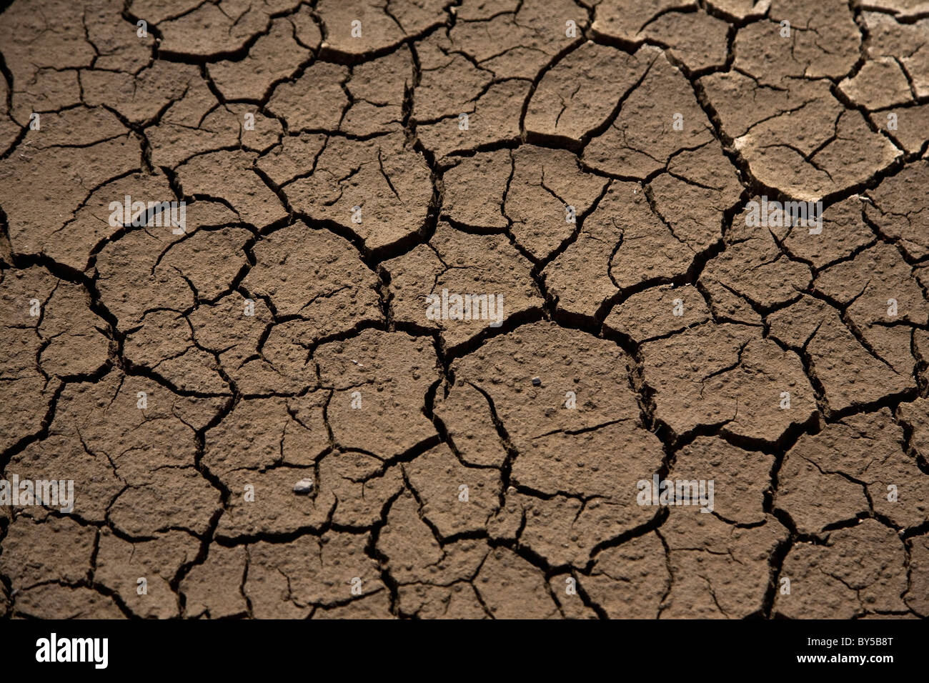 Cracked arid desert dirt backgrounds land brown drought heat climate hi ...