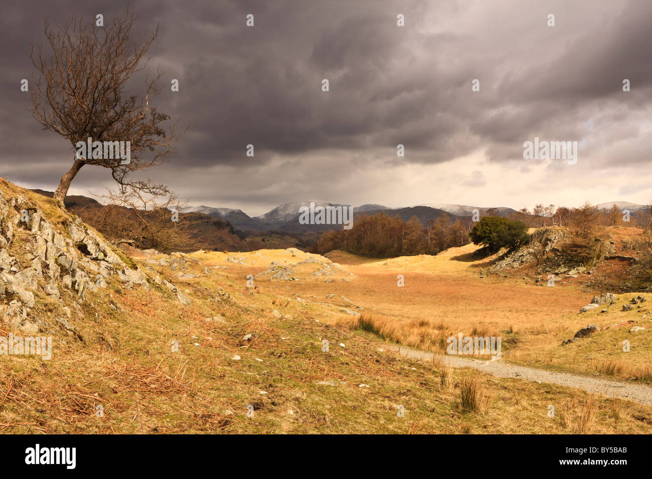 Landscape scene from the Lake District in Cumbria UK Stock Photo - Alamy