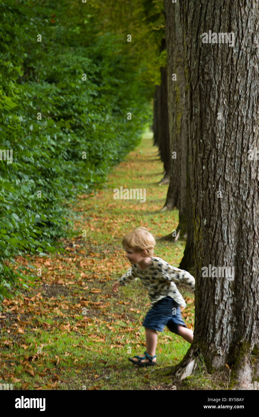 A young boy running between the trees Stock Photo - Alamy