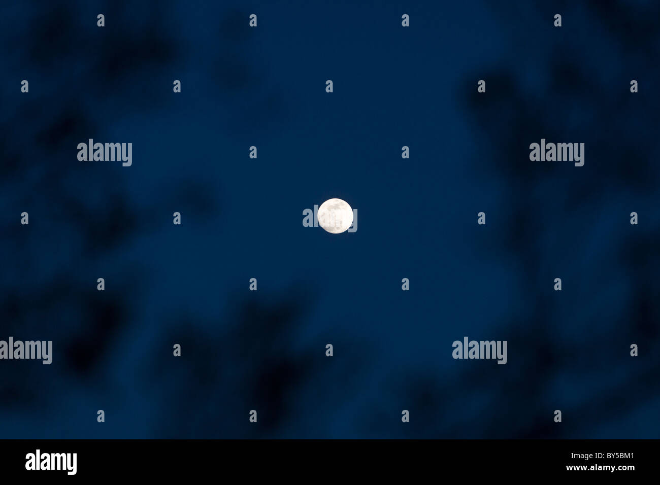 Full moon through trees in hi-res stock photography and images - Alamy