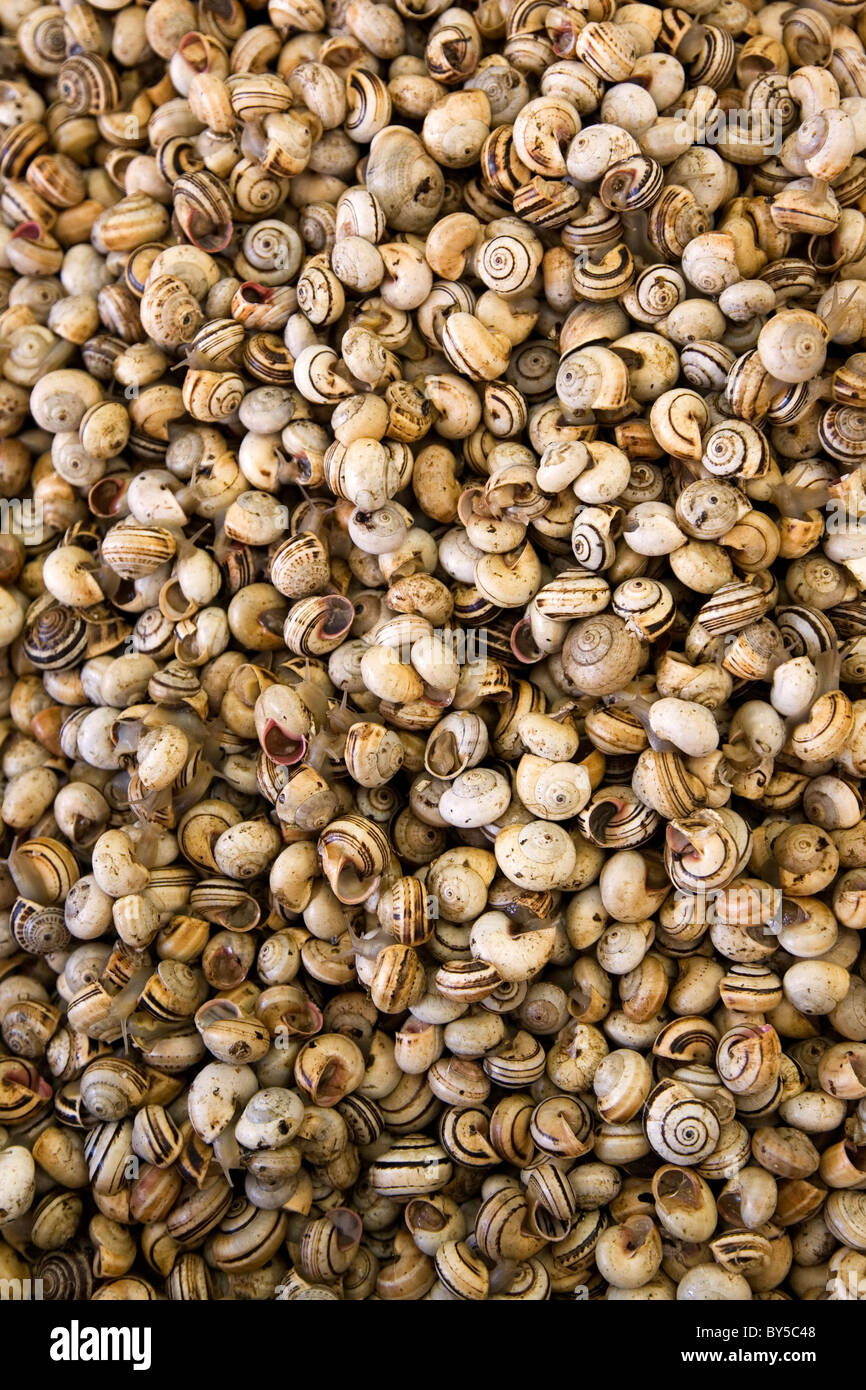 Snails (Caracoes) for sale at a market stand in Portugal Stock Photo ...