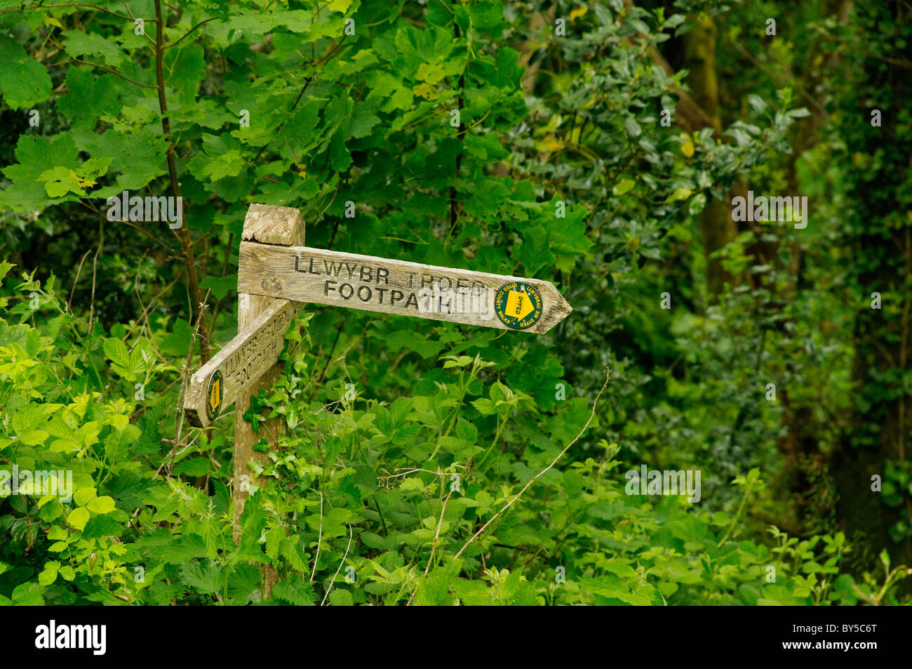 Teifi valley hi-res stock photography and images - Alamy