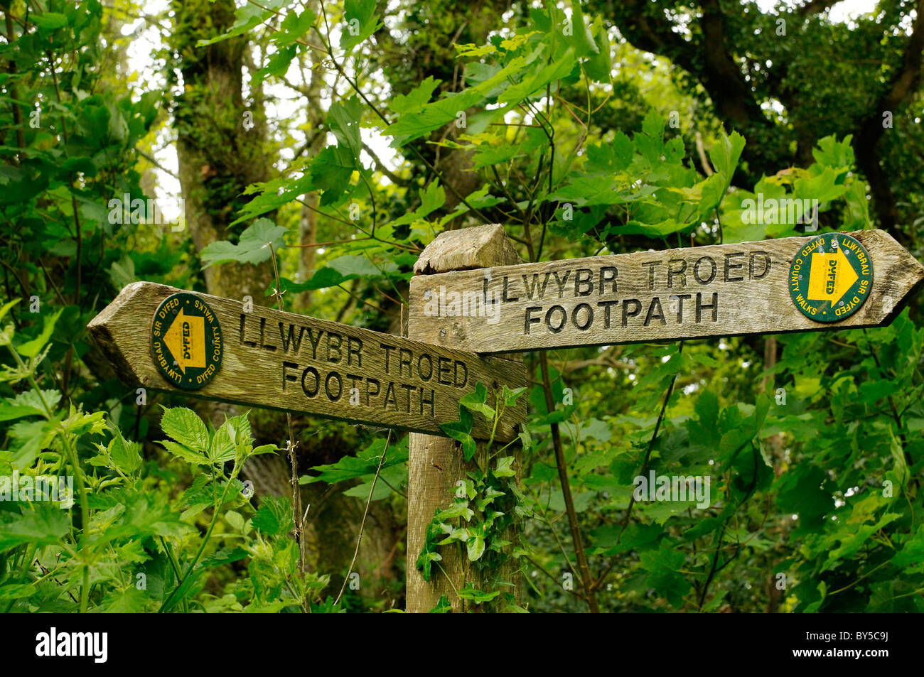Teifi Valley High Resolution Stock Photography and Images - Alamy