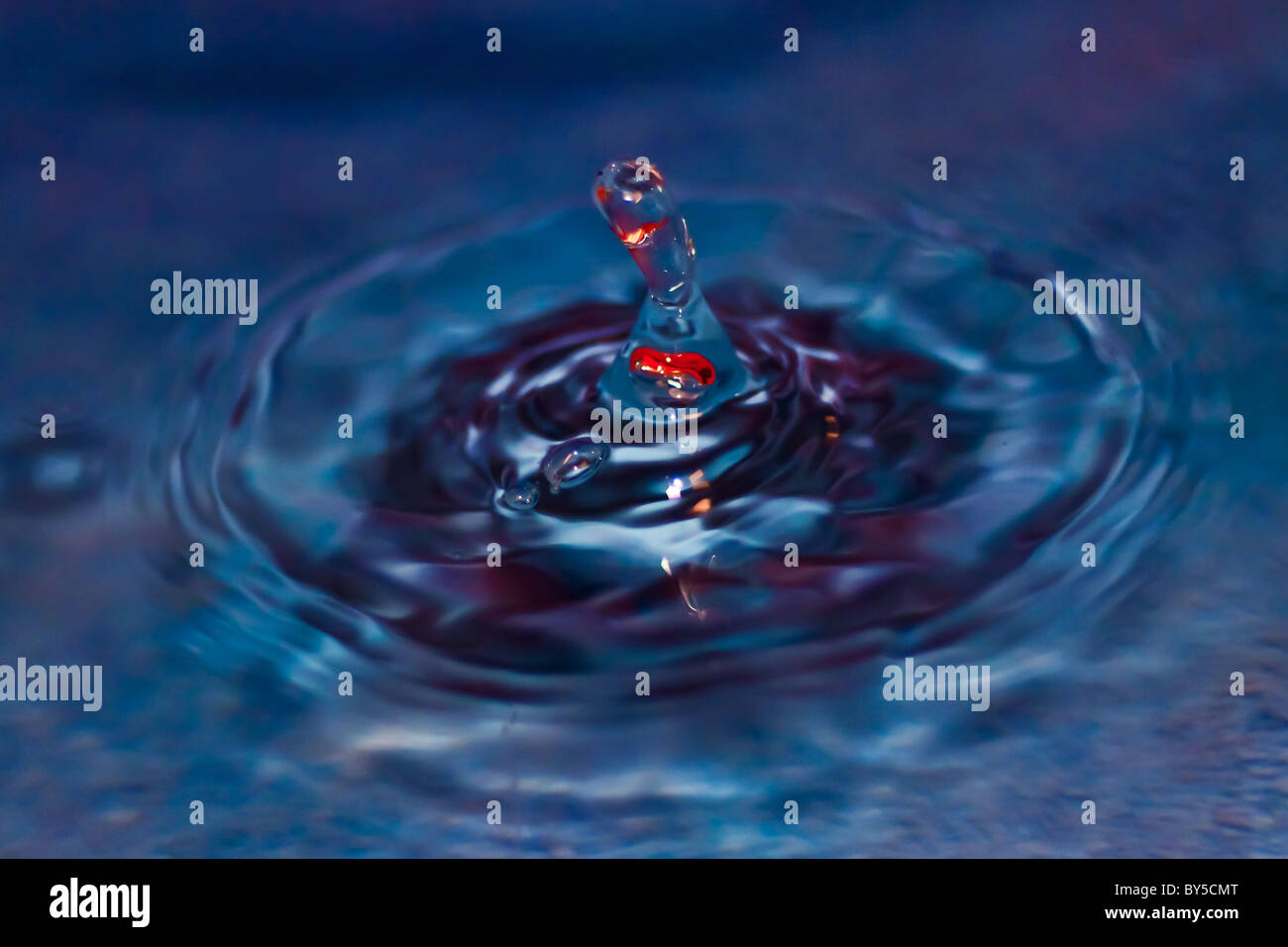 A water drop falling into water Stock Photo - Alamy