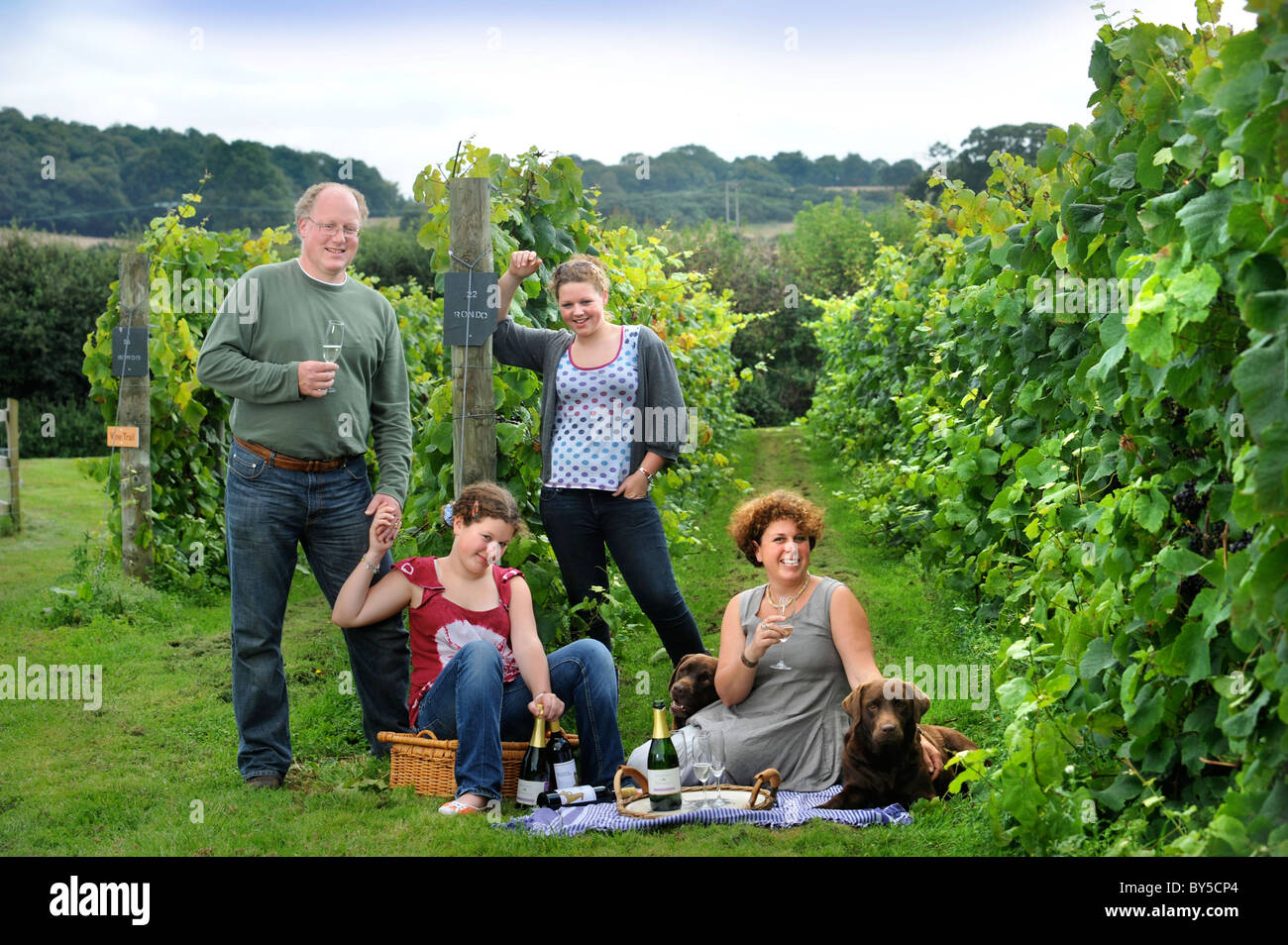 English Wine Making High Resolution Stock Photography and Images - Alamy