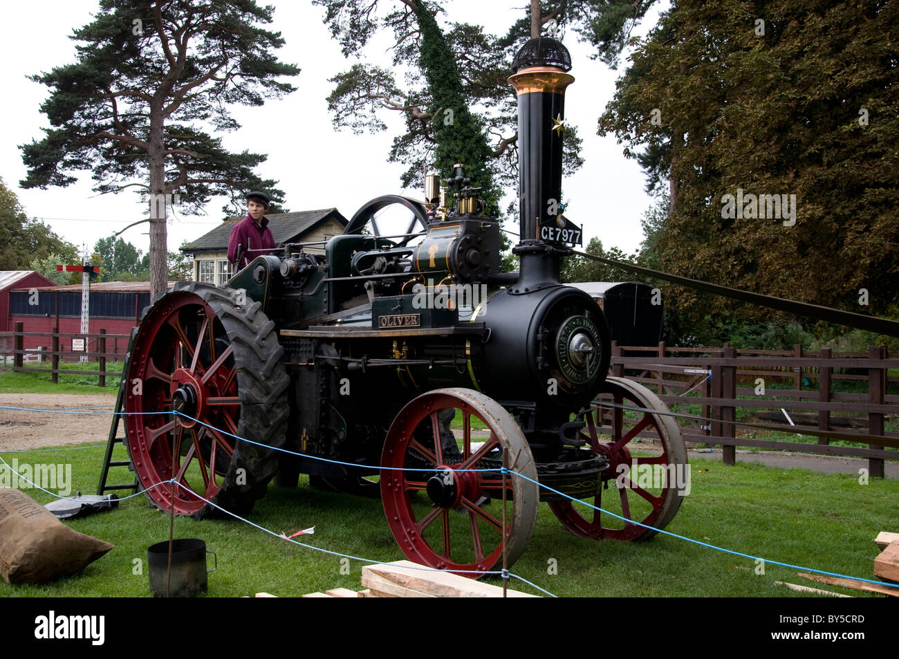 Steam traction engine powering a circular saw at Bressingham Steam ...