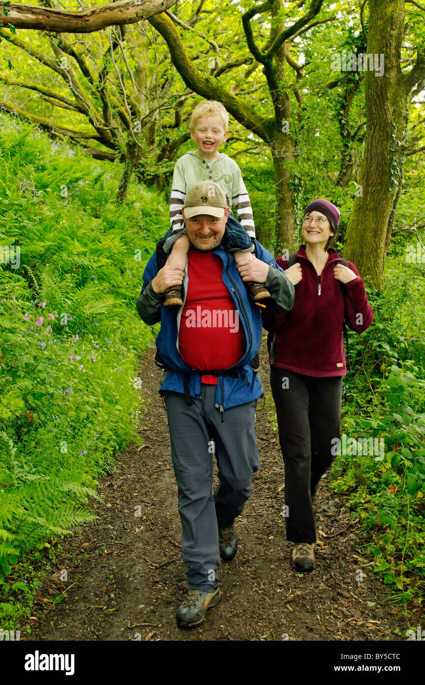 Nature walk in the Teifi valley, Cardigan Stock Photo - Alamy