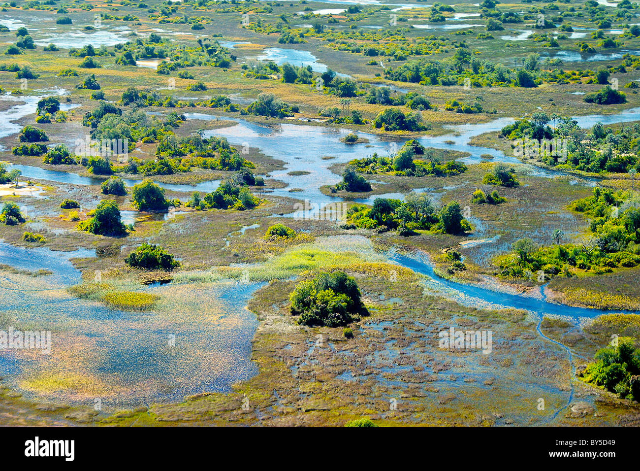 Aerial view of the spring floods of the Okavango Delta, Botswana,Africa ...