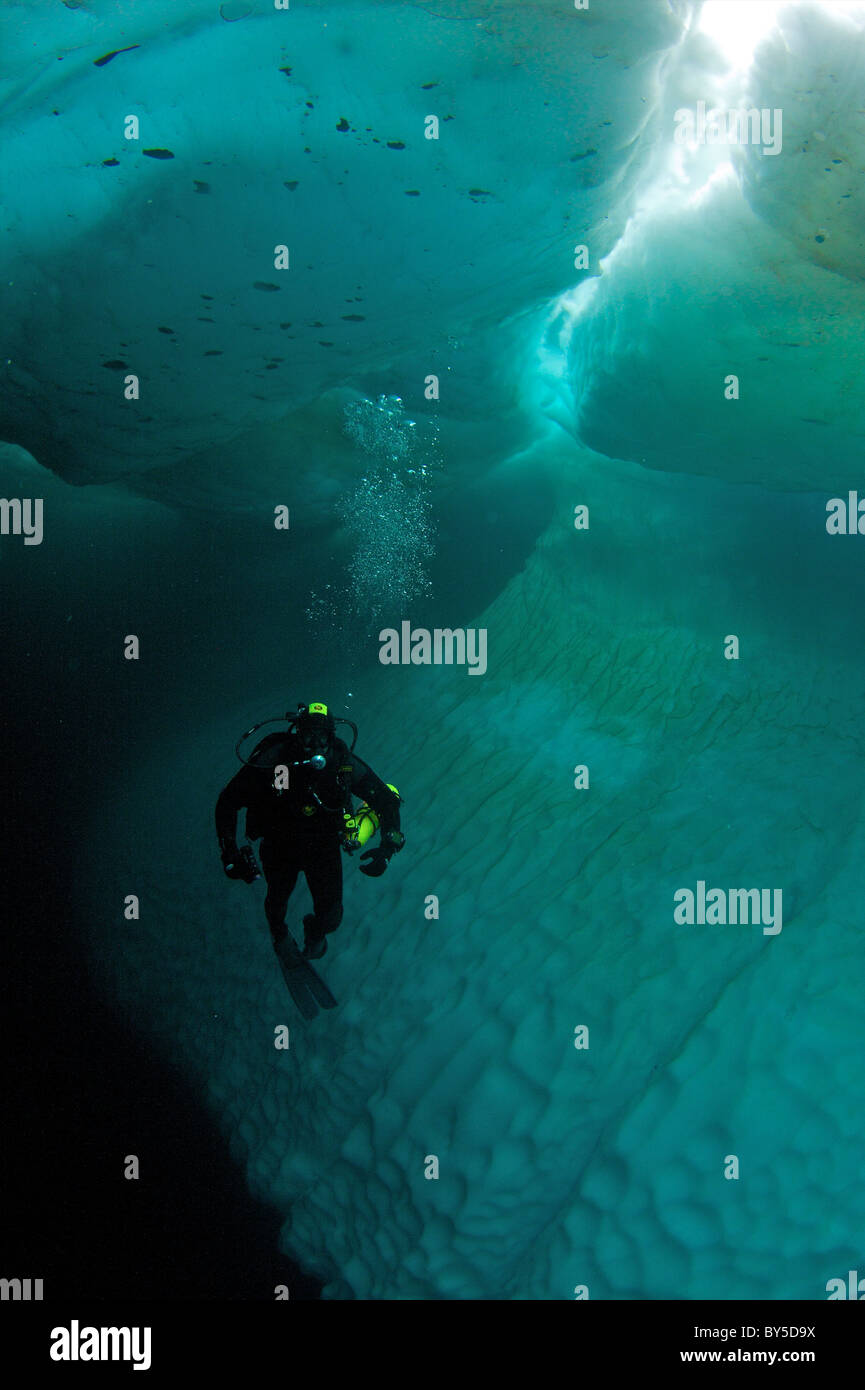 Canadian Arctic diving on the floe edge Pond Inlet, Baffin Island ...