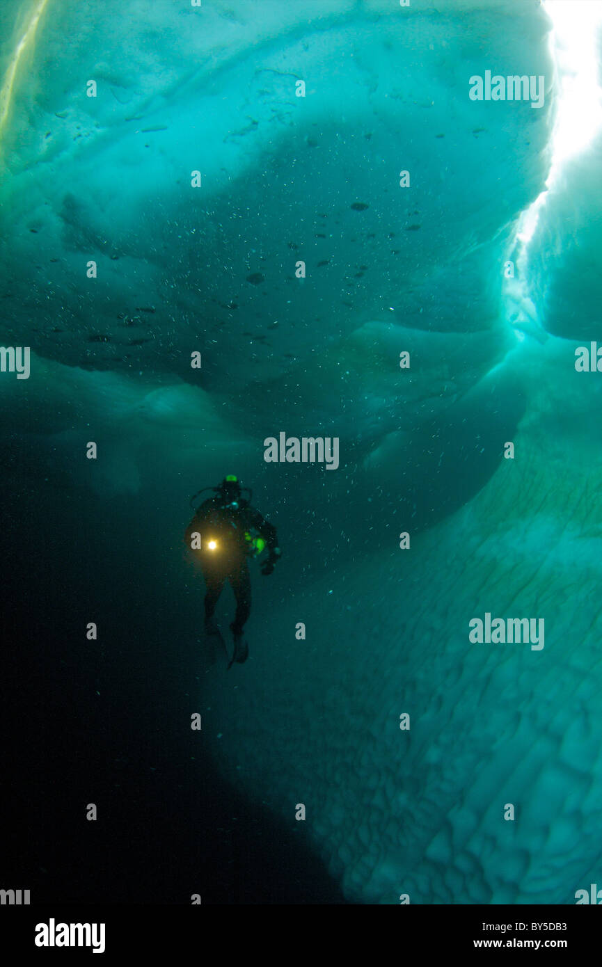 Canadian Arctic diving on the floe edge Pond Inlet, Baffin Island ...