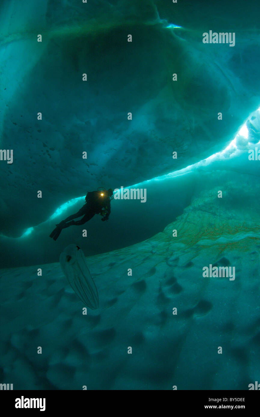 Canadian Arctic diving on the floe edge Pond Inlet, Baffin Island ...