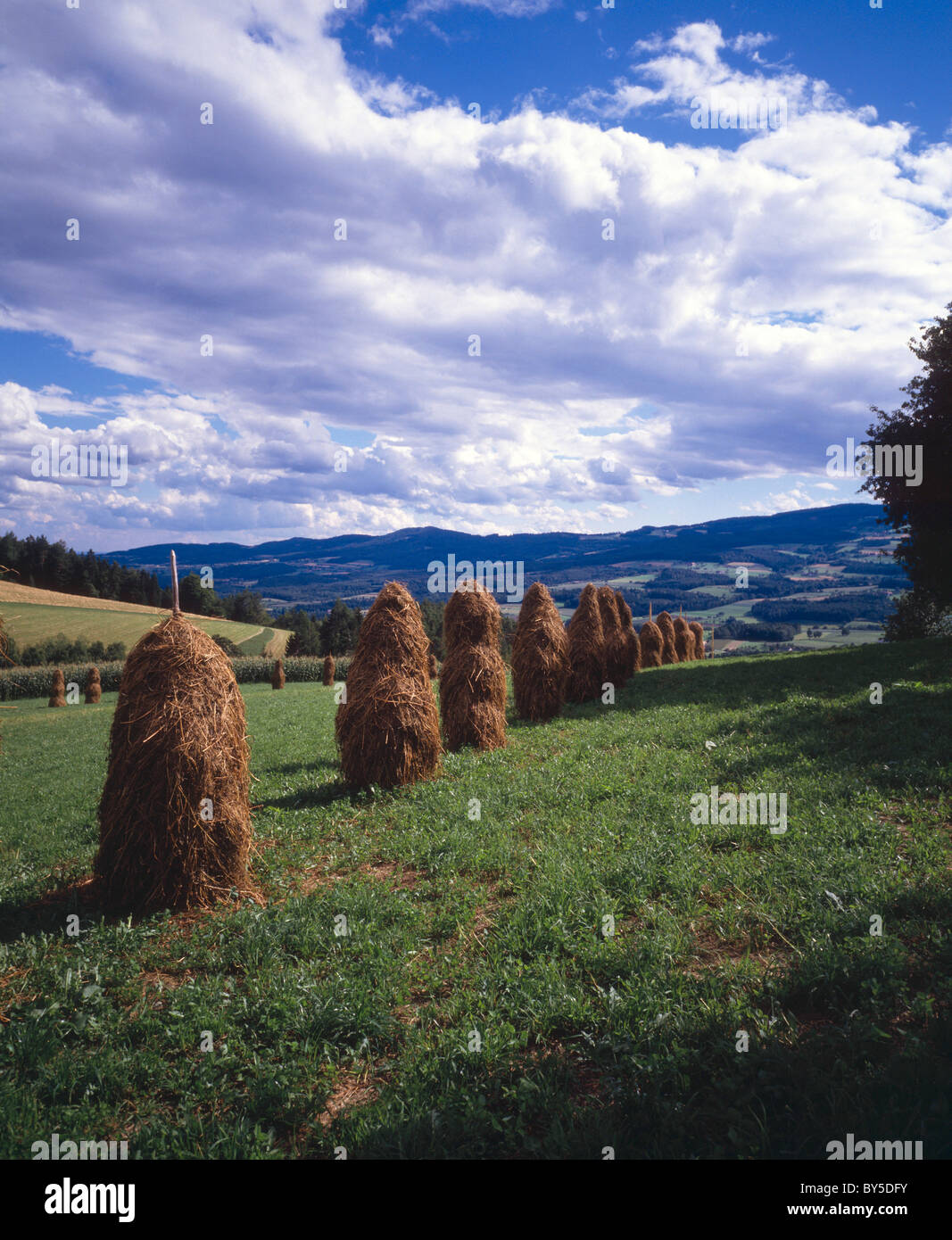 Old style farming hi-res stock photography and images - Alamy