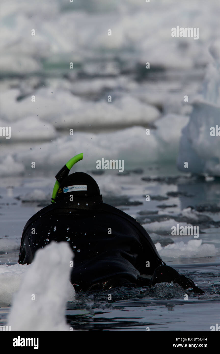Canadian Arctic diving on the floe edge Pond Inlet, Baffin Island ...